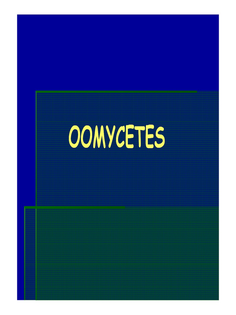 OOMYCETES | PDF | Organismos | Ramas de la botánica