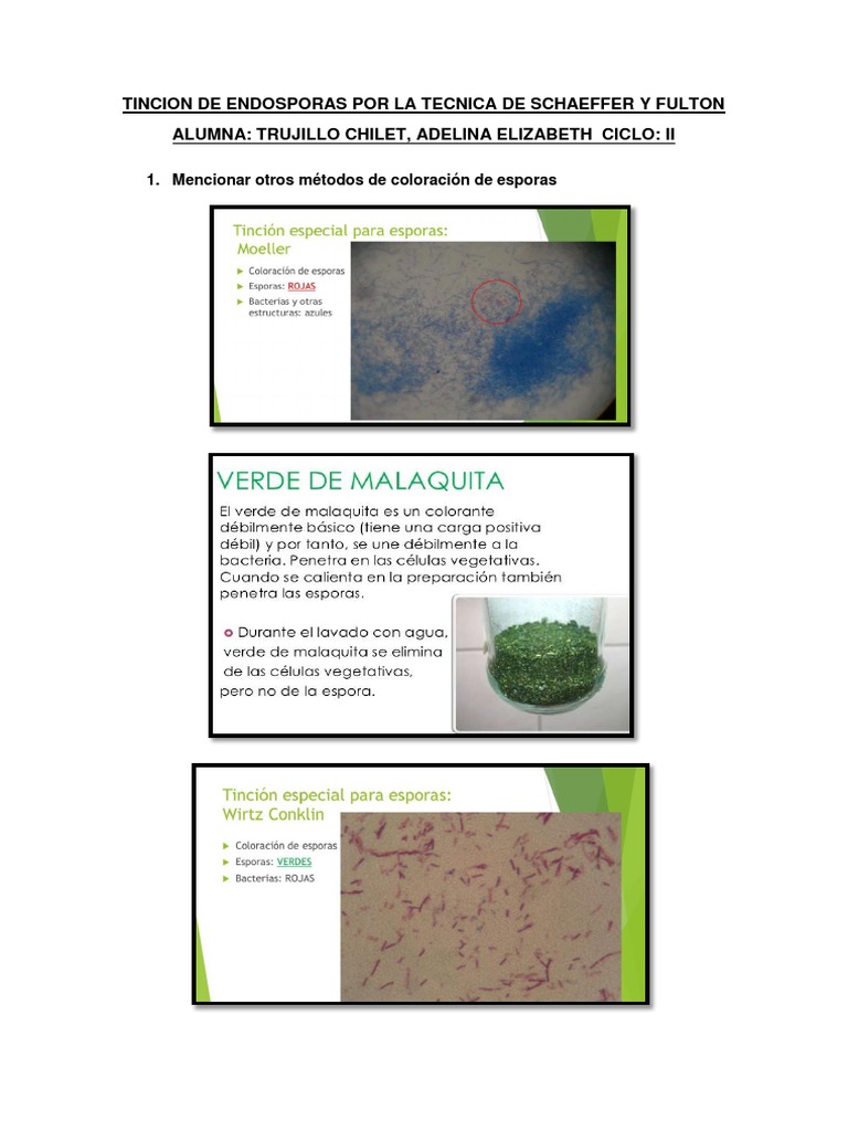 Tincion de Endosporas Por La Tecnica de Schaeffer y Fulton