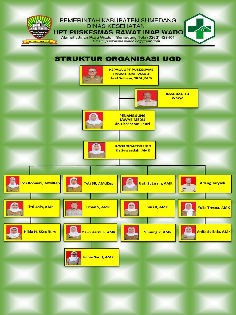 Struktur Organisasi Ugd | PDF