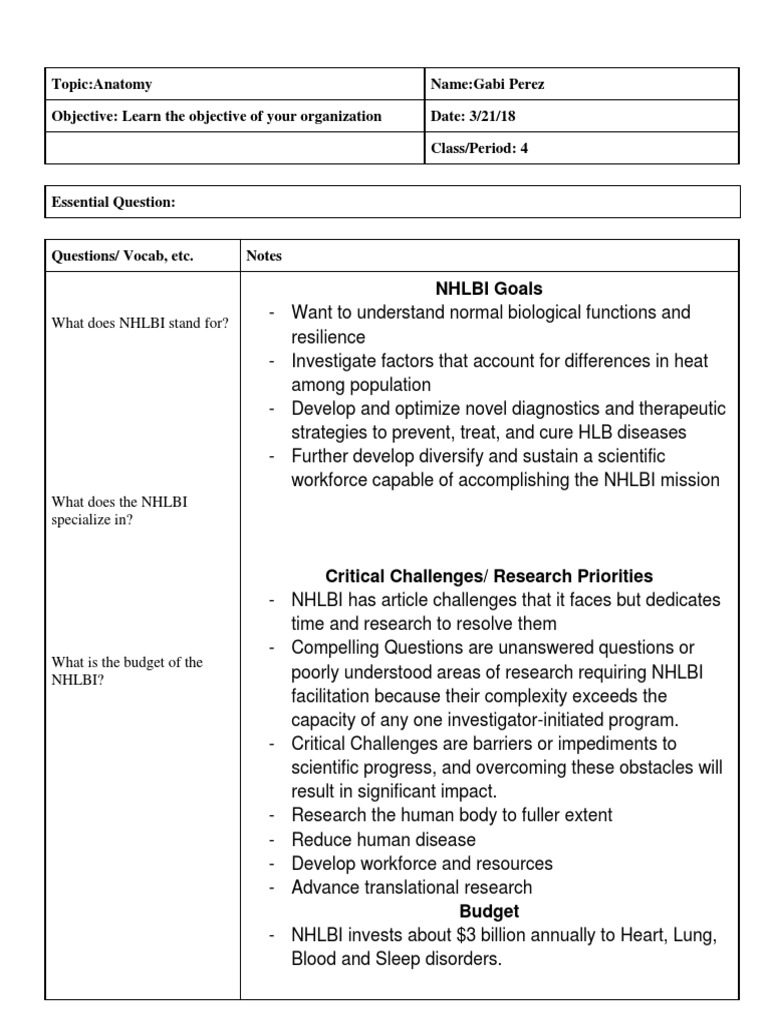 Cornell Notes Template | PDF | Respiratory System | Respiratory Tract