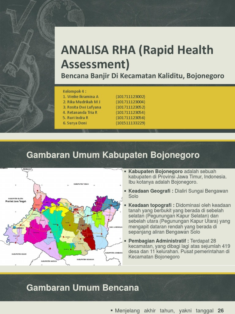 ANALISA RHA (Rapid Health Assessment) | PDF