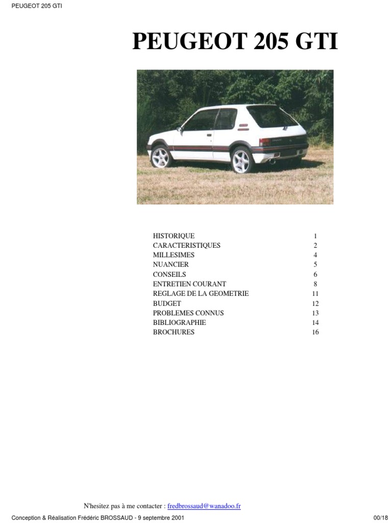 Peugeot 20205 20gti 20GUIDE | PDF | Brake | Tire