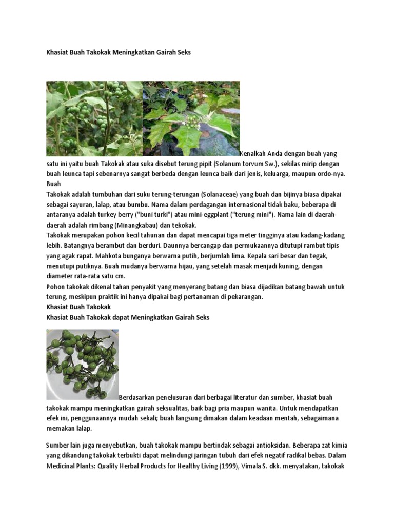 Khasiat Buah Takokak | PDF