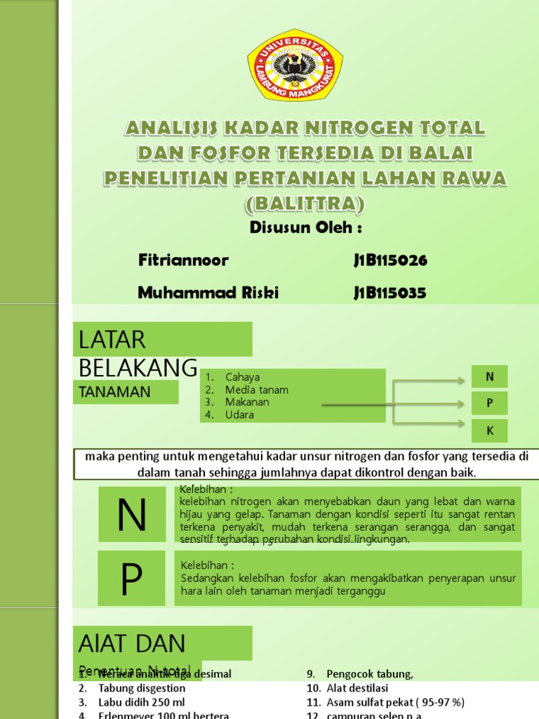 Disusun Oleh: Fitriannoor J1B115026 Muhammad Riski J1B115035 | PDF