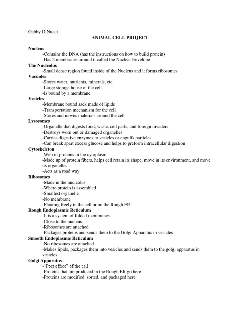 Animal Cell Project Bio Cookie Cake | PDF