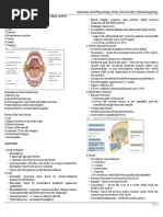 Anatomy of the Oral Cavity | PDF | Tongue | Mouth