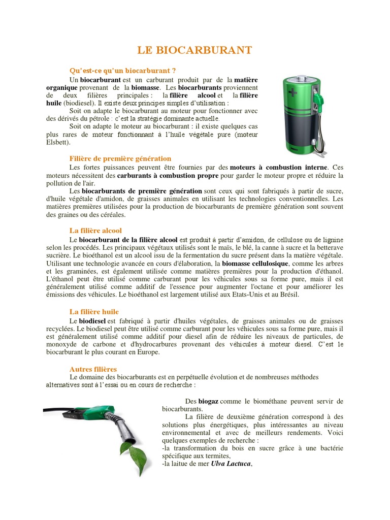 Le Biocarburant: Qu'est-Ce Qu'un Biocarburant ? | PDF | Biofuel | Biodiesel