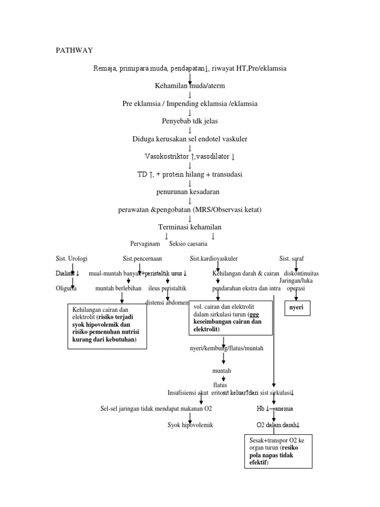 Nyeri Keseimbangan Cairan Dan Elektrolit) | PDF
