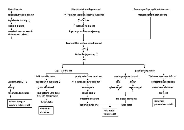 Pathway CHF l6 | PDF