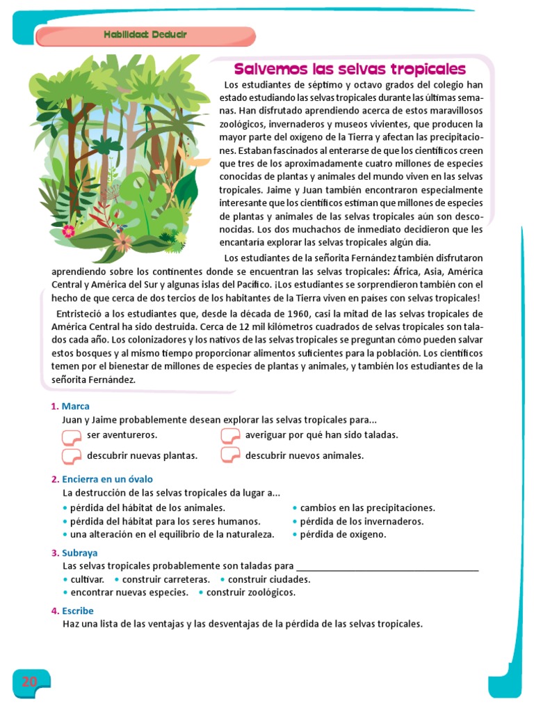 Destrucción de Selvas Tropicales | PDF | Destrucción del habitát | Selva