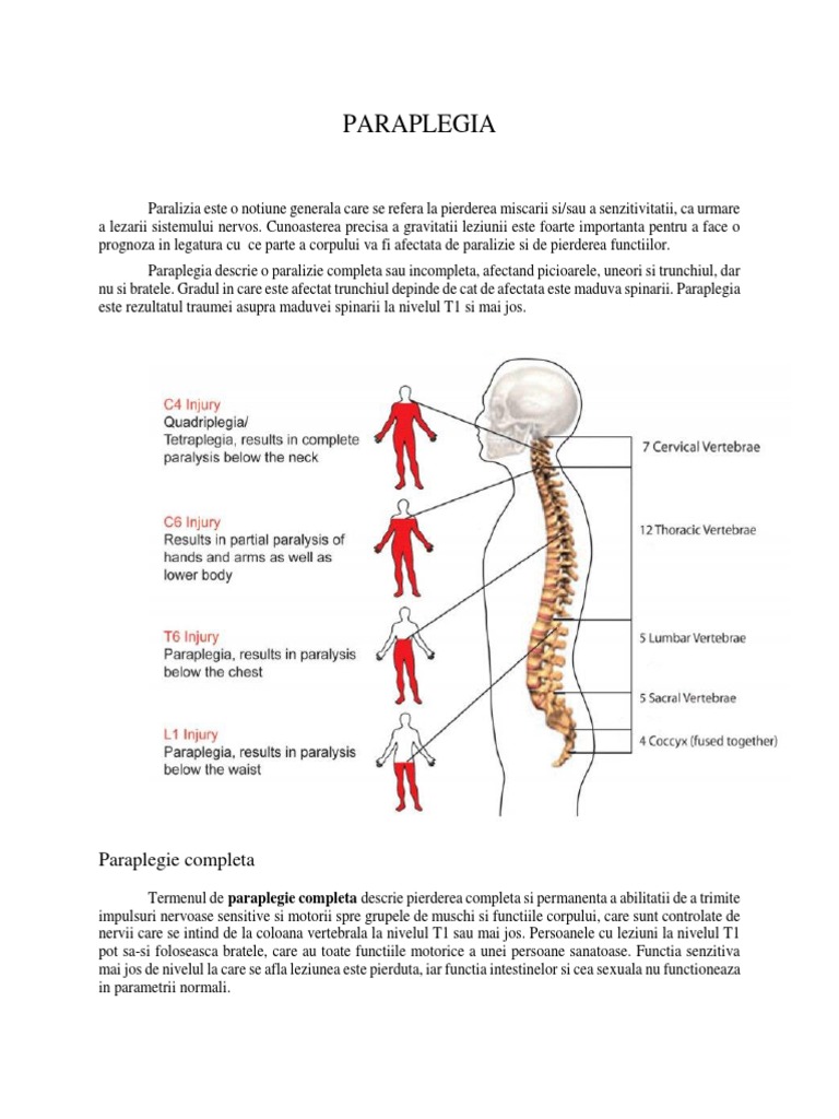 Paraplegia