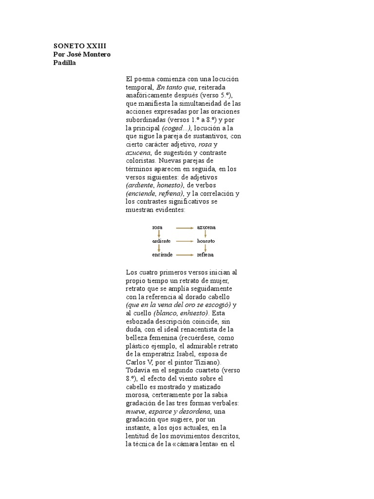 Soneto XXIII - Garcilaso de La Vega - Comentario Literario | PDF ...