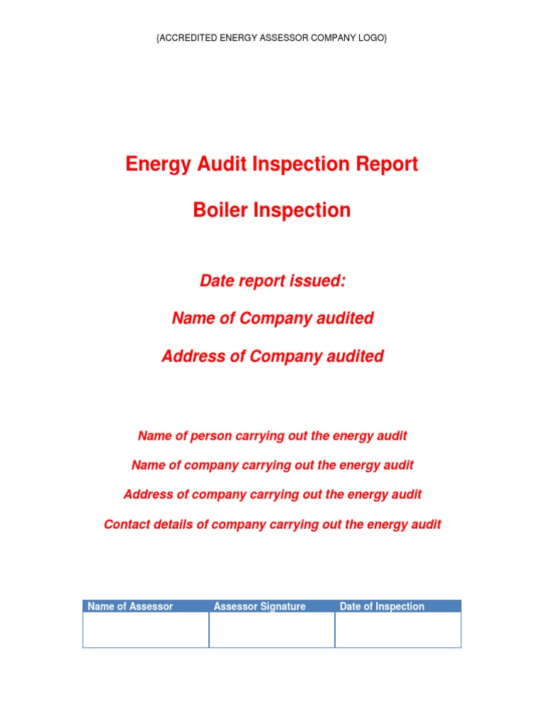 Template Inspection Report For Boiler Units | PDF | Boiler ...
