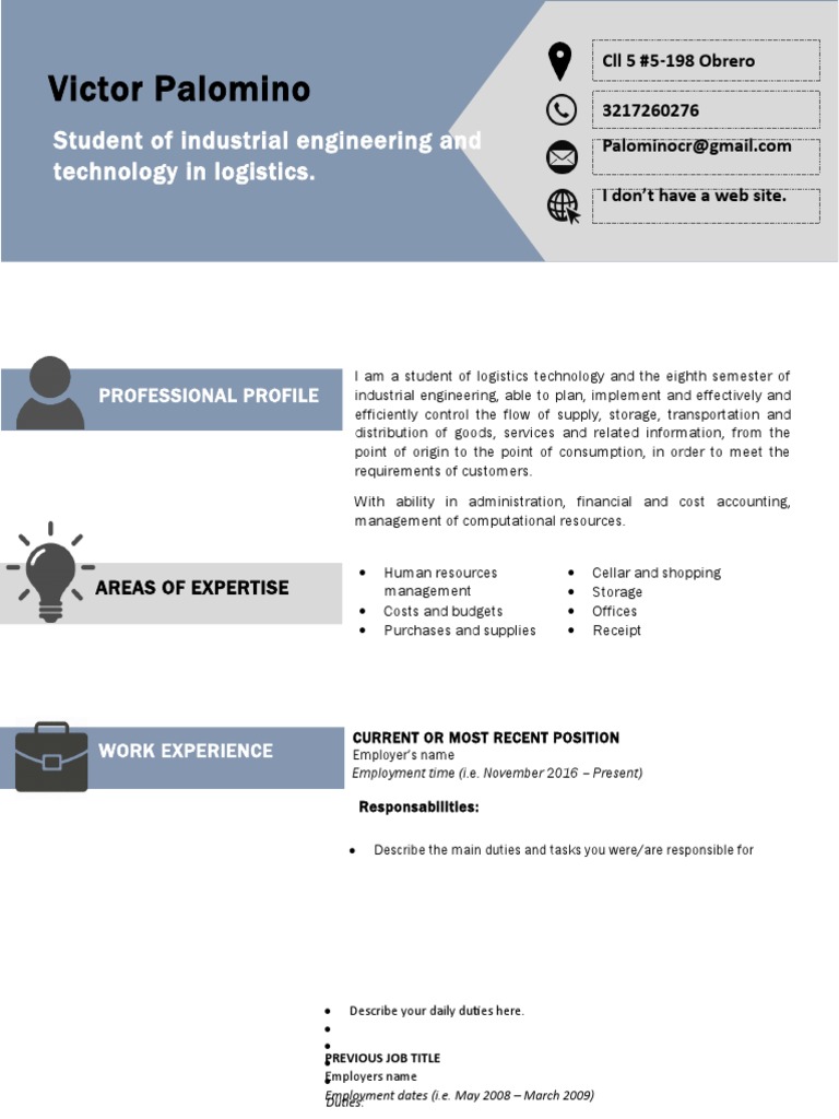 Curriculum Vitae Format | PDF | Industrial Engineering | Logistics