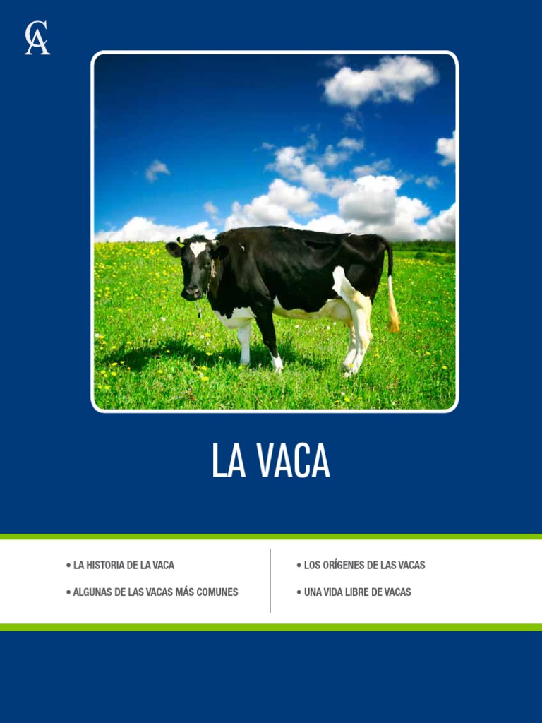 Resumen Libro La Vaca | PDF | Vida | Vacas