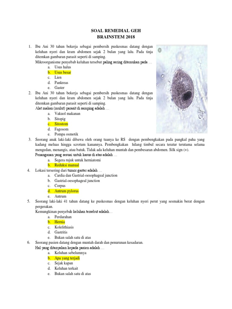 Soal Remedial Geh Brainstem 2018 | PDF