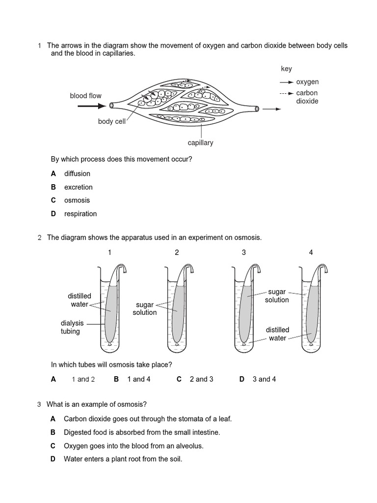 Movement in & Out of Cells (Multiple Choice) 2 Test 1 | PDF | Osmosis ...