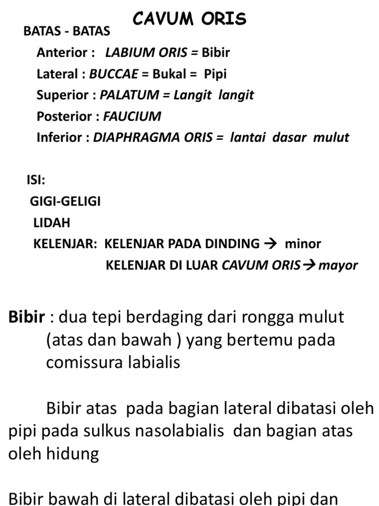 Anatomi Rongga Mulut | PDF