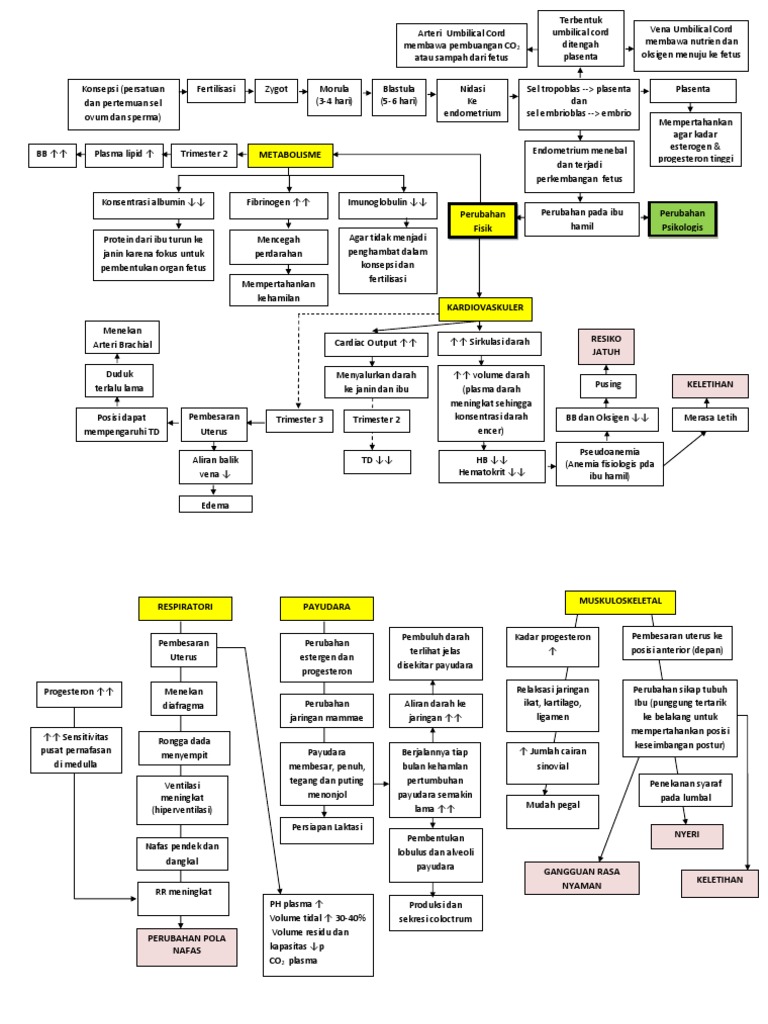 PATHWAY Kehamilan | PDF