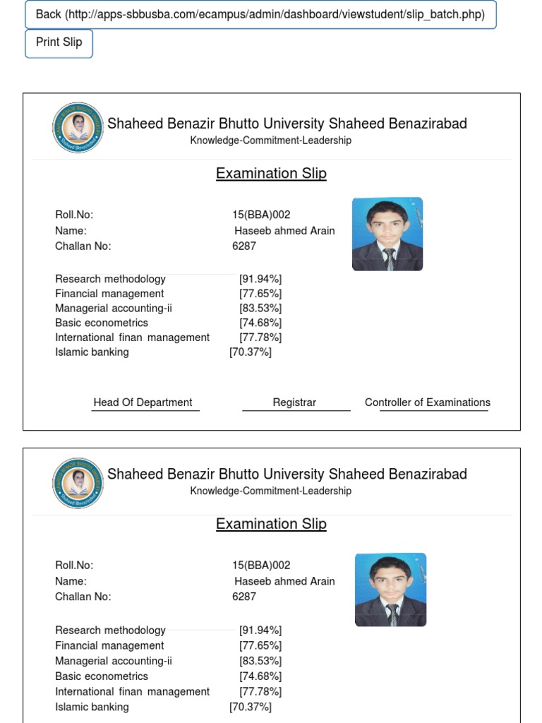 Student Examination Results Slip for Haseeb Ahmed Arain from Shaheed ...