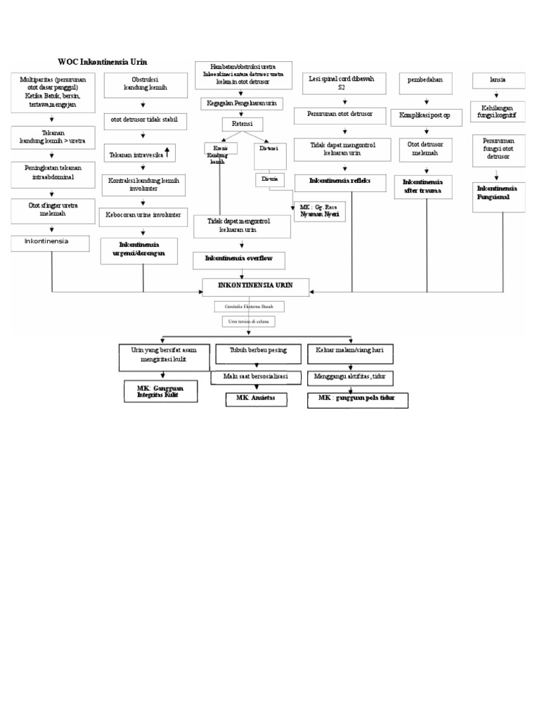 Pathway Inkontenensia Urine | PDF