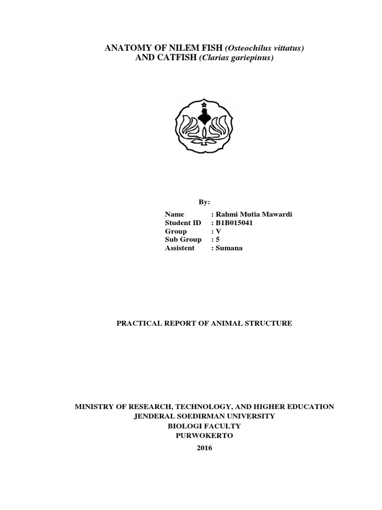 Anatomy of Fish | PDF | Fish | Animal Physiology