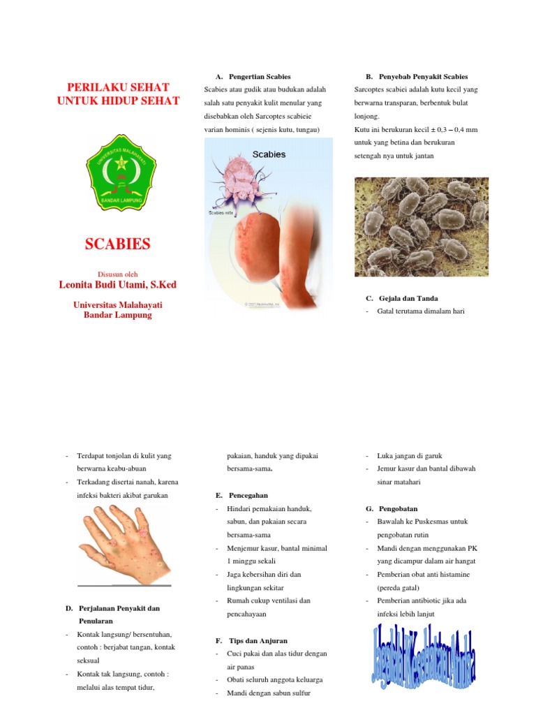 Leaflet SCABIES | PDF