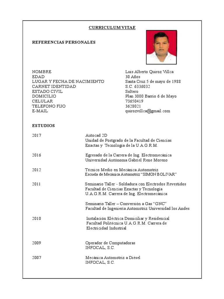 Curriculum Vitae Luis | PDF | Car | Science