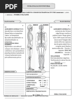 Evaluacion Postural 2 | PDF | Pie | Sistema musculoesquelético