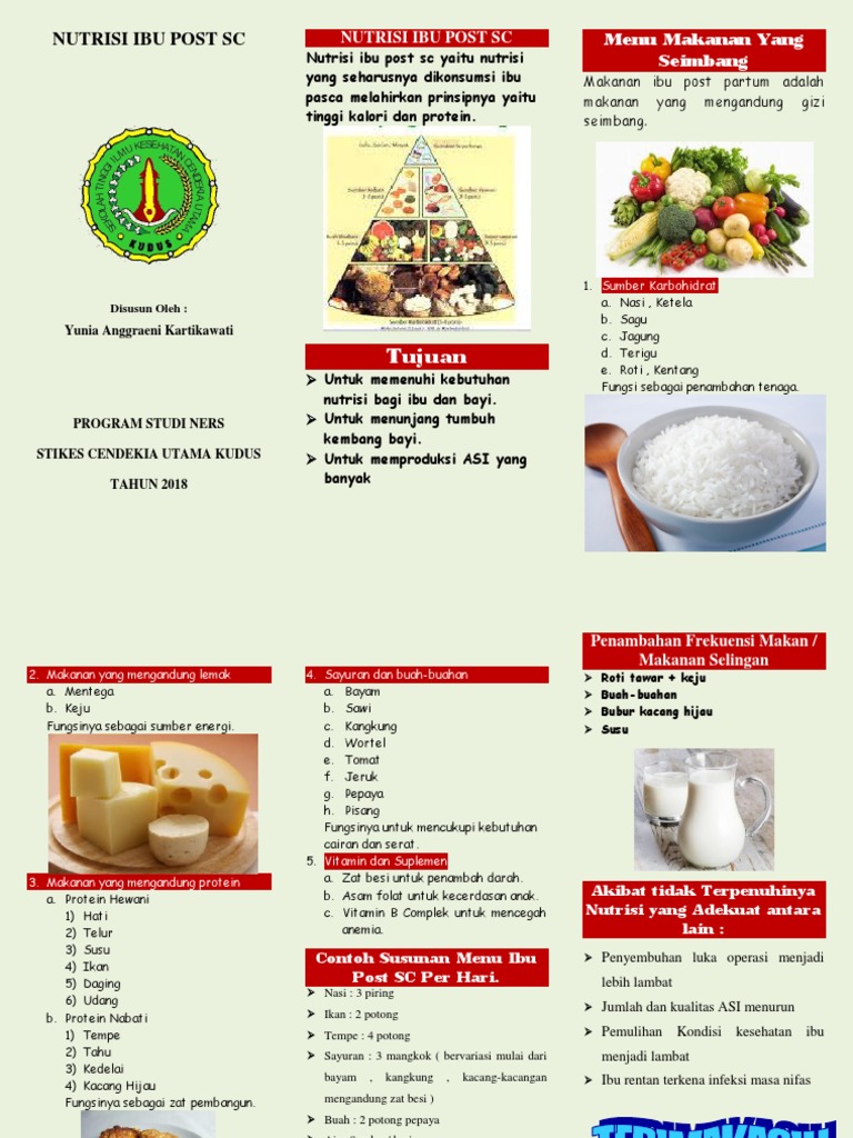 Nutrisi Ibu Post SC: Tujuan | PDF