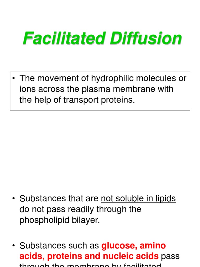 Bio f4 Chapter 3 Notes | PDF | Cell Membrane | Cell (Biology)