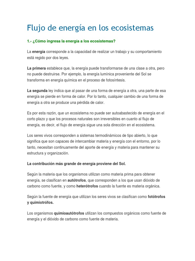 Flujo de Energía en Los Ecosistemas | PDF | Organismos | Biogeoquímica