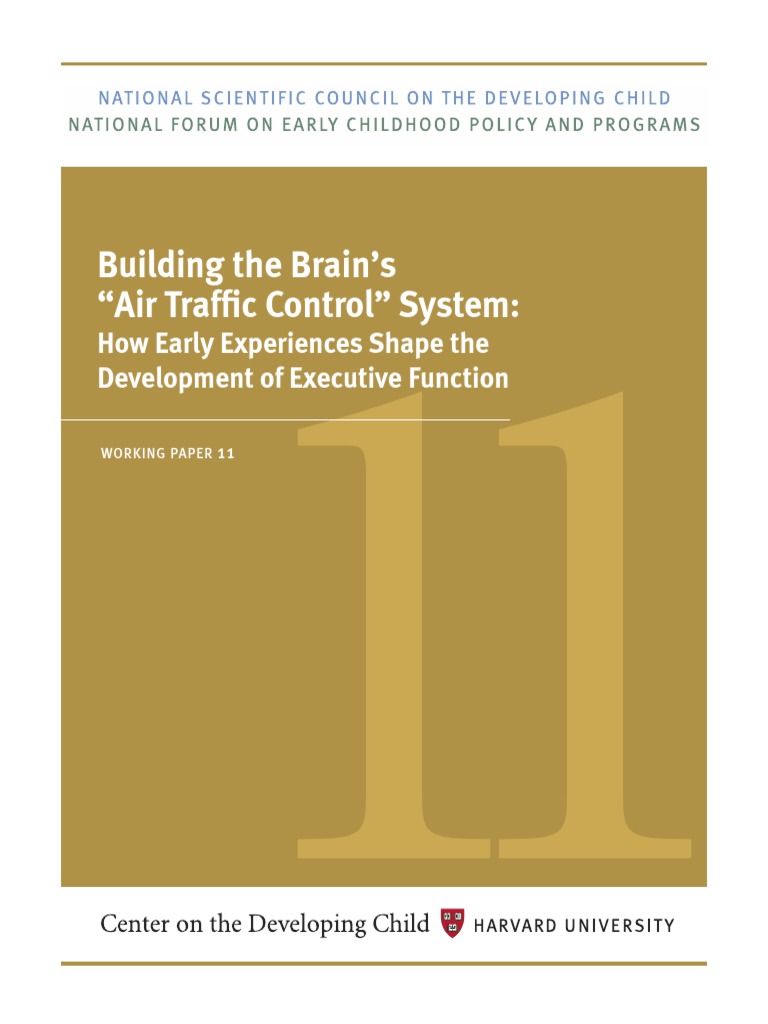 How Early Experiences Shape The Development of Executive Function | PDF ...