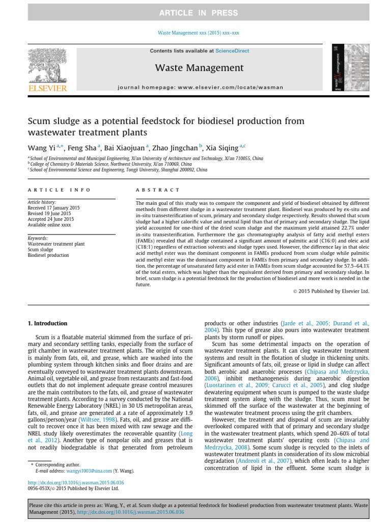 Scum Sludge As A Potential Feedstock For Biodiesel Production From ...