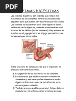 Sistema Digestivo Carnivoro | PDF | Digestión | Sistema digestivo humano