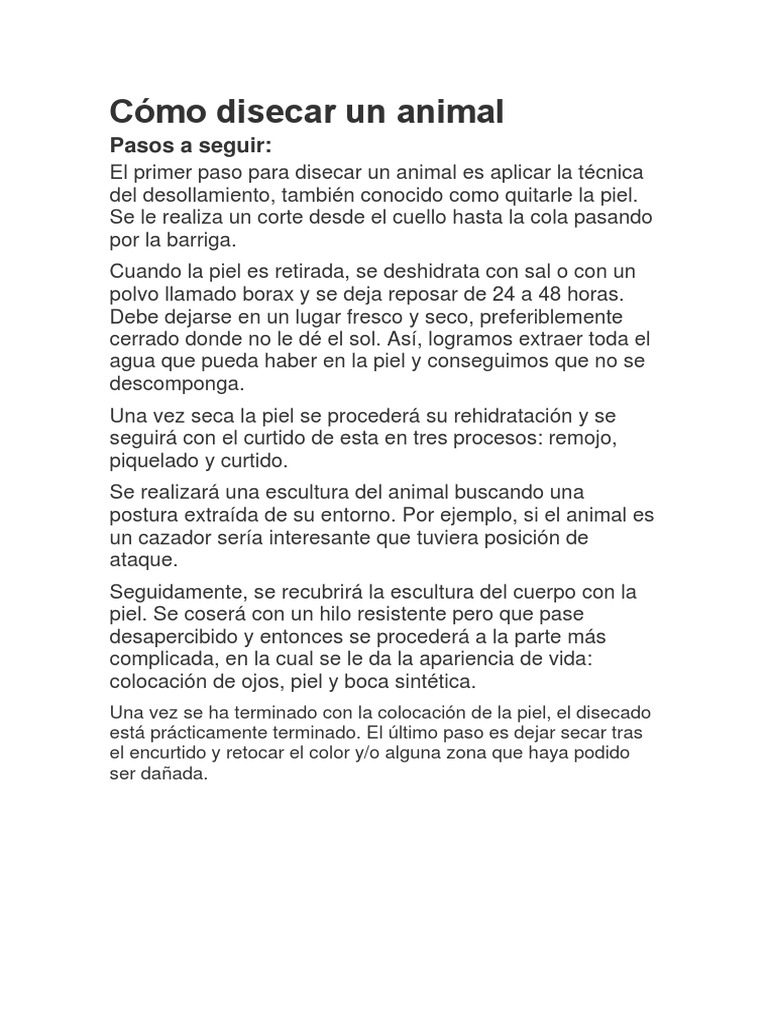Cómo Disecar Un Animal | PDF | Hogar, jardinería y bricolaje | Arte