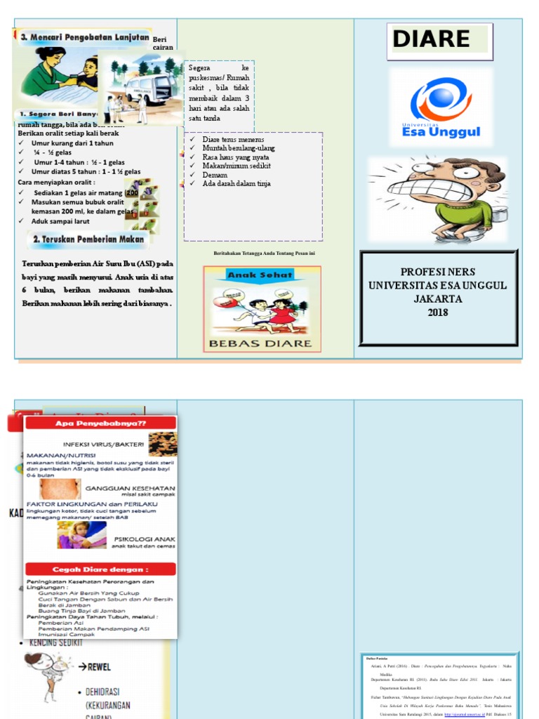 Leaflet Diare | PDF