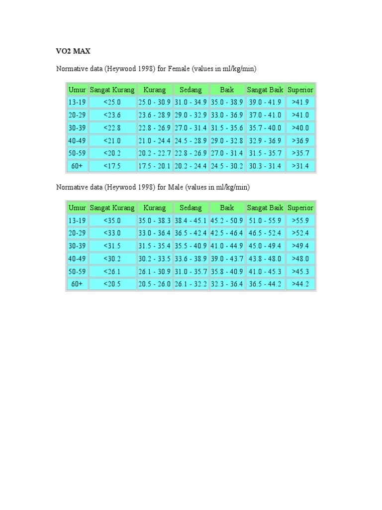 Vo2 Max | PDF