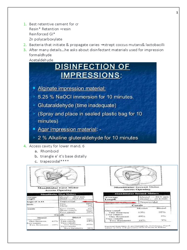 333 Yoneo Yoleo | Download Free PDF | Dentures | Human Tooth