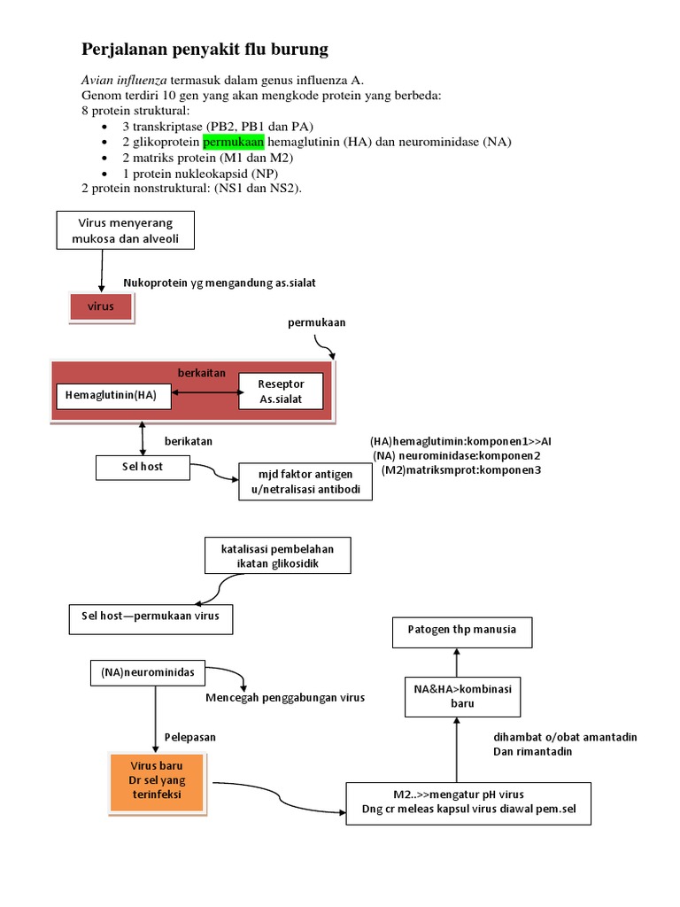 WOC2 Flu Burung | PDF