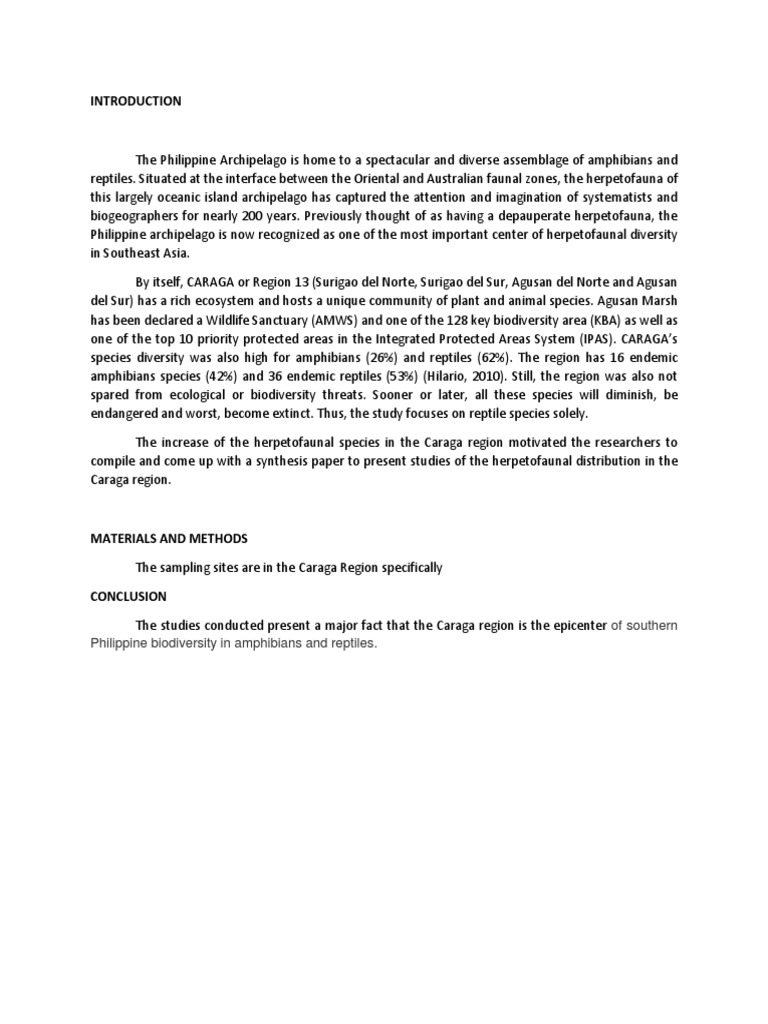 Final Synthesis Paper | PDF