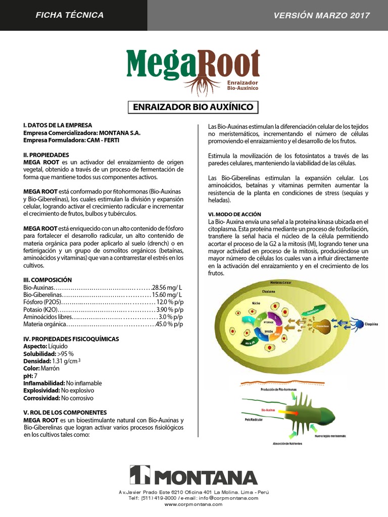 Mega Root | PDF | Auxina | Biología Celular)