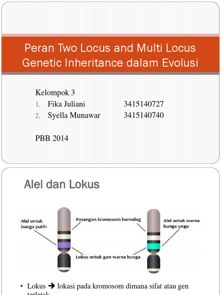 (REVISI) Peran Two Locus and Multi Locus Genetic Inheritance | PDF