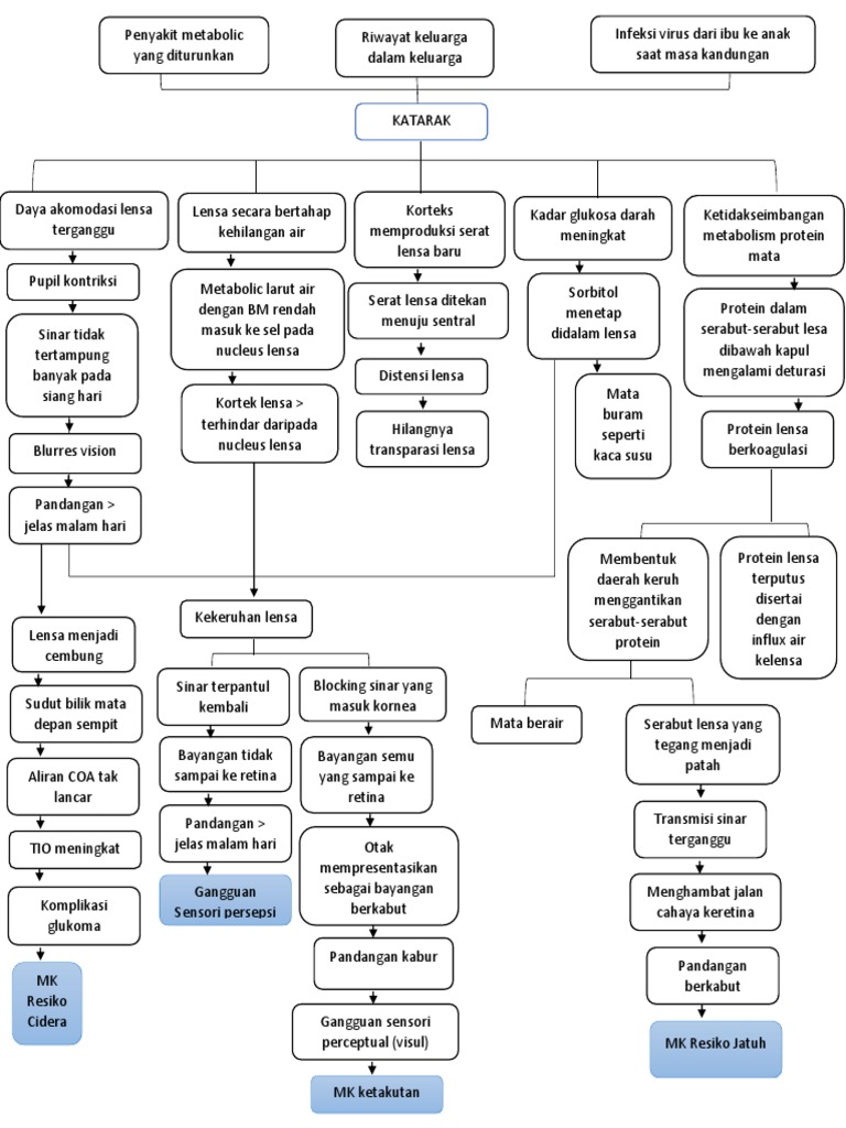 Pathway Katarak Juvenil | PDF