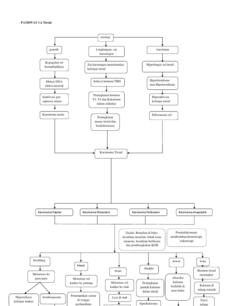Patoflow CA Tiroid | PDF