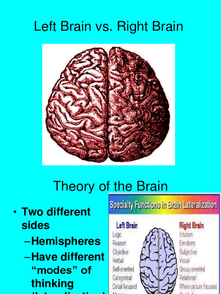 Understanding the Differences Between Left Brain and Right Brain ...