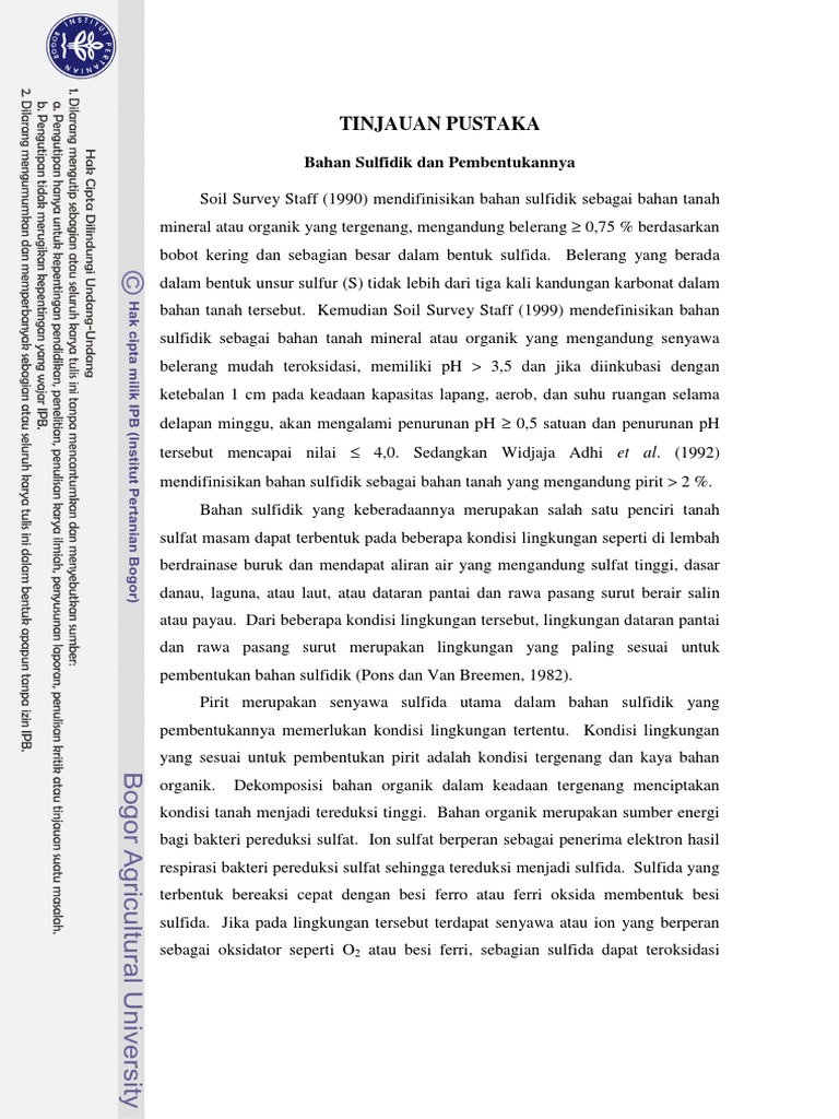 Sulfat Sulfida Pada Tanah | PDF