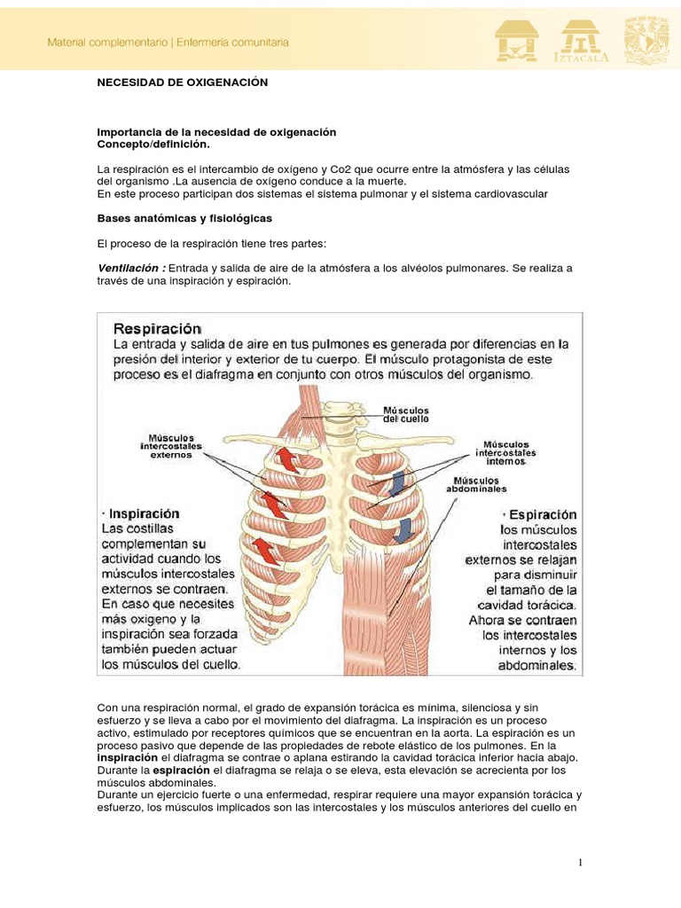 Oxigenacion PDF | PDF | Pulmón | Respiración