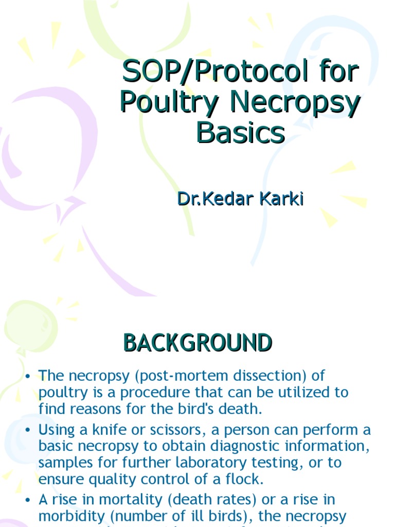 Poultry Necropsy Basics | PDF | Gastrointestinal Tract | Autopsy