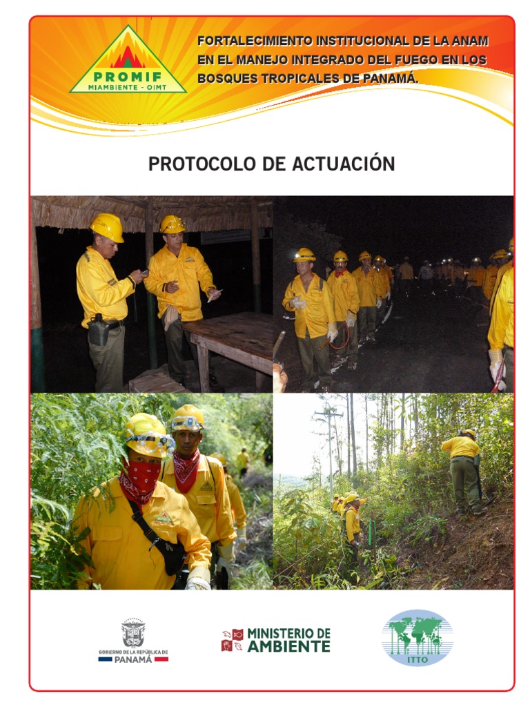 PROTOCOLO ACTUACION Incendios Forestales - Unlocked | PDF | Fuego fatuo ...